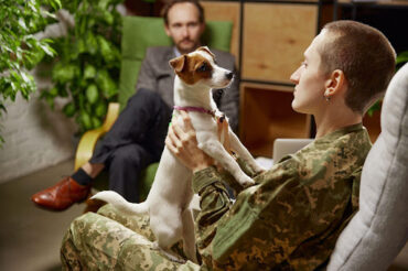 PTSD Dogs: Everything You Need To Know