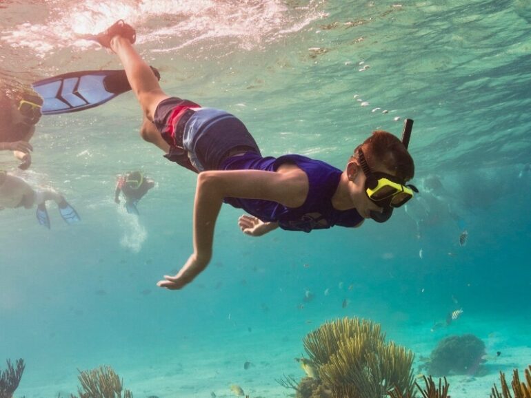 These Are The 7 Best Educational Summer Camps With Snorkeling And ...